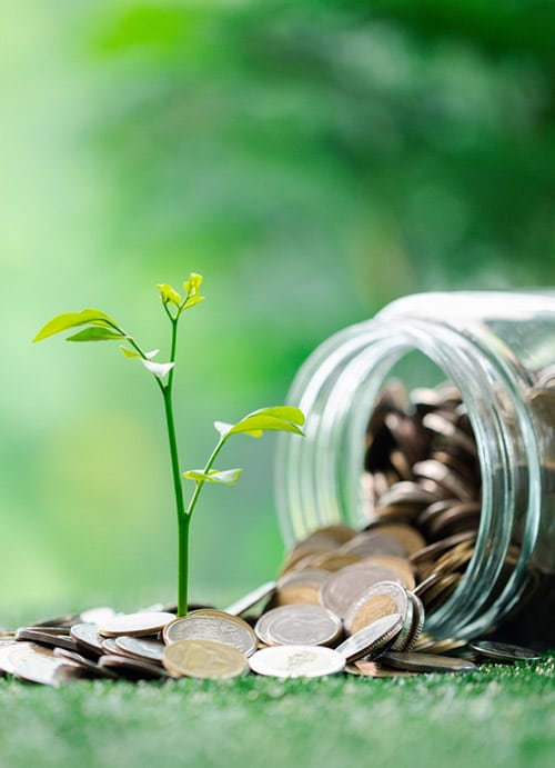 Délégataire CEE : Définition et rôles